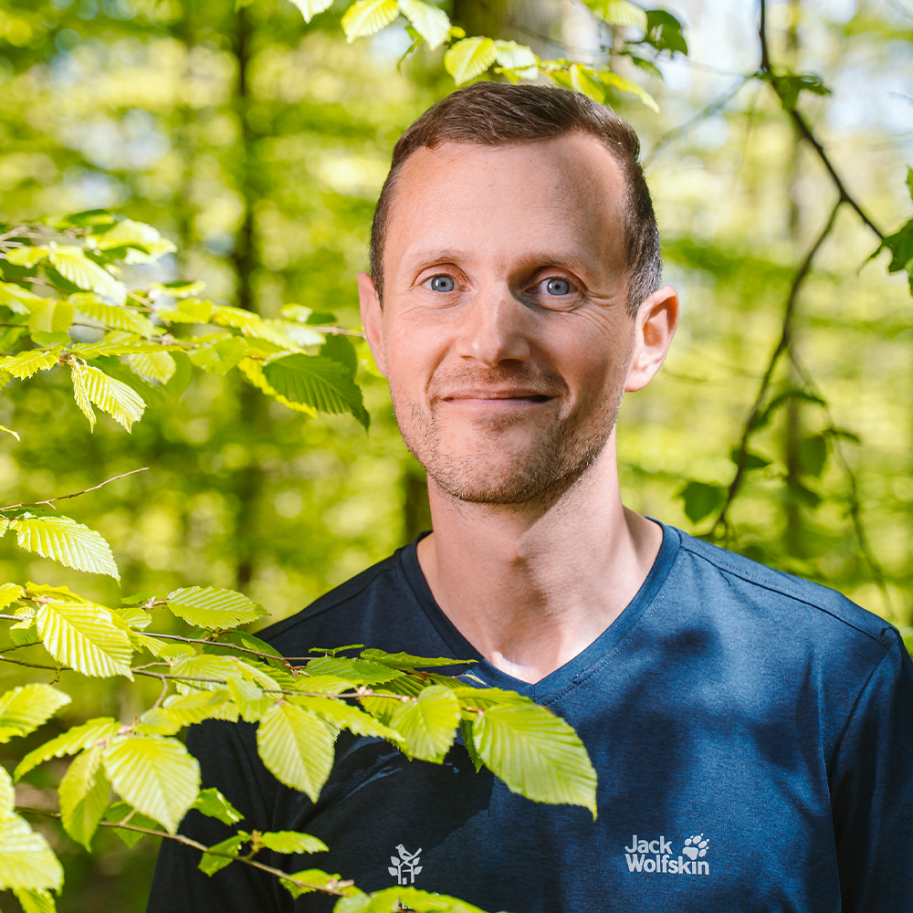 Waldgipfel 2025 – Konferenz zu Wald, Klima & Gesundheit